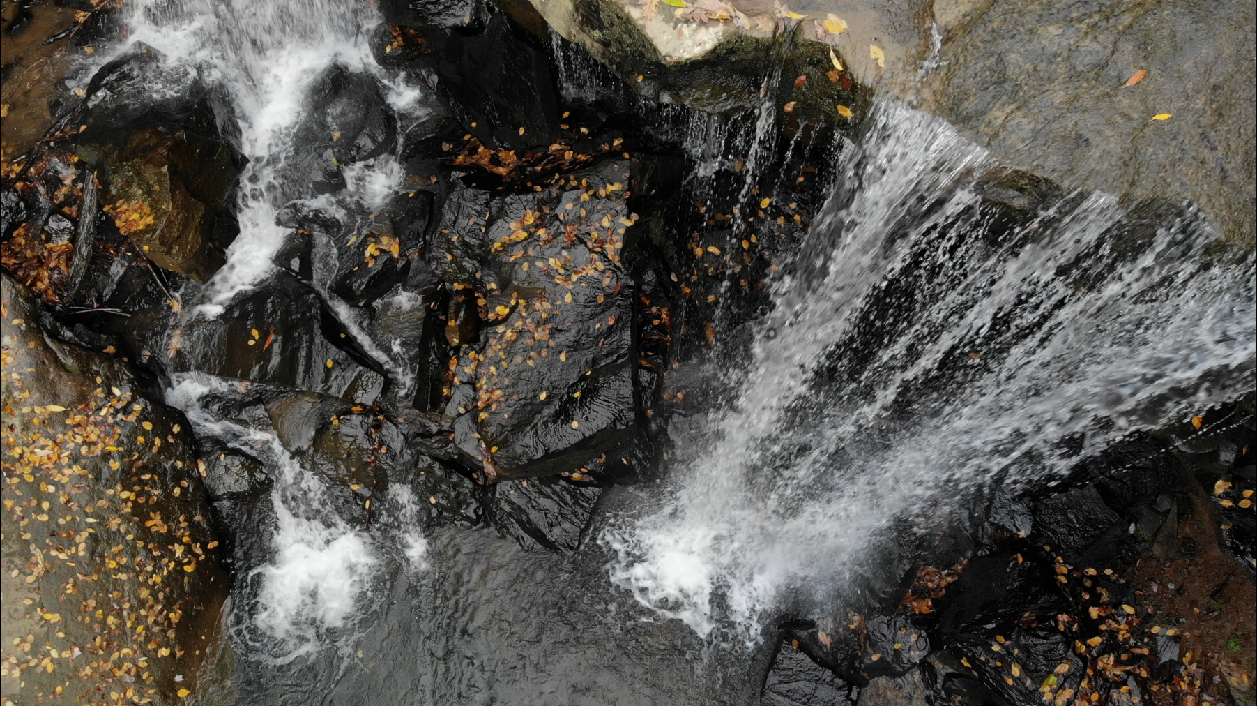 Matt Lokay Photography – Finding Form in the Environment